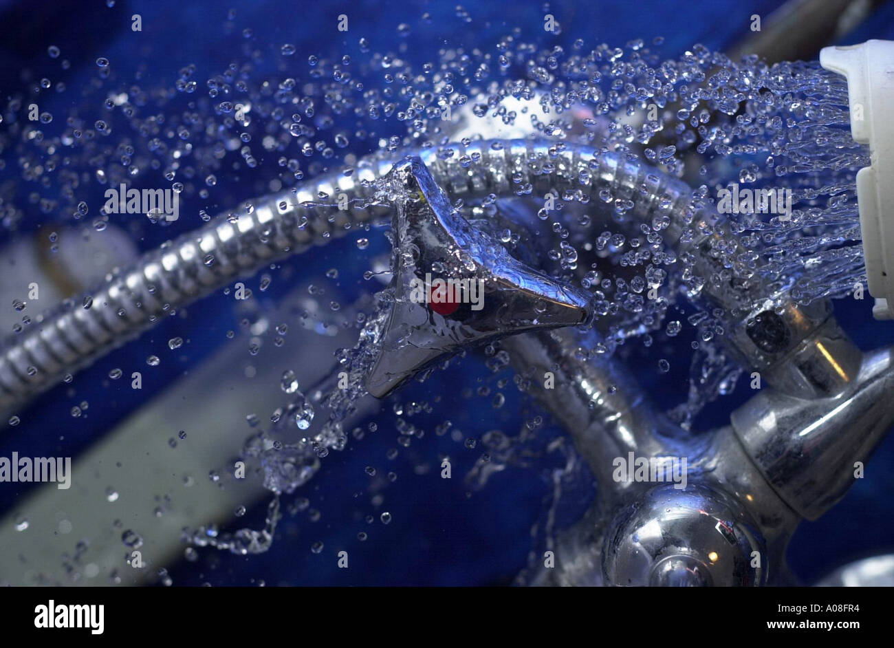 Water drops gushing vividly out of showerhead Stock Photo - Alamy