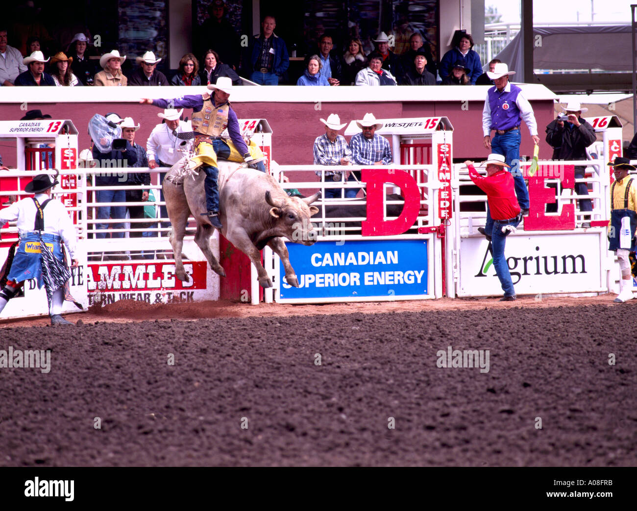 Bull rider at calgary stampede hi-res stock photography and images - Alamy