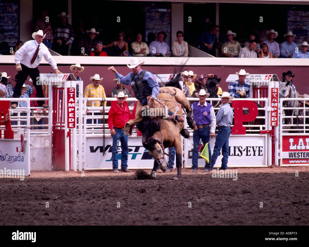 Saddle Bronc Riding at "Calgary Stampede" Calgary Alberta Canada Stock ...