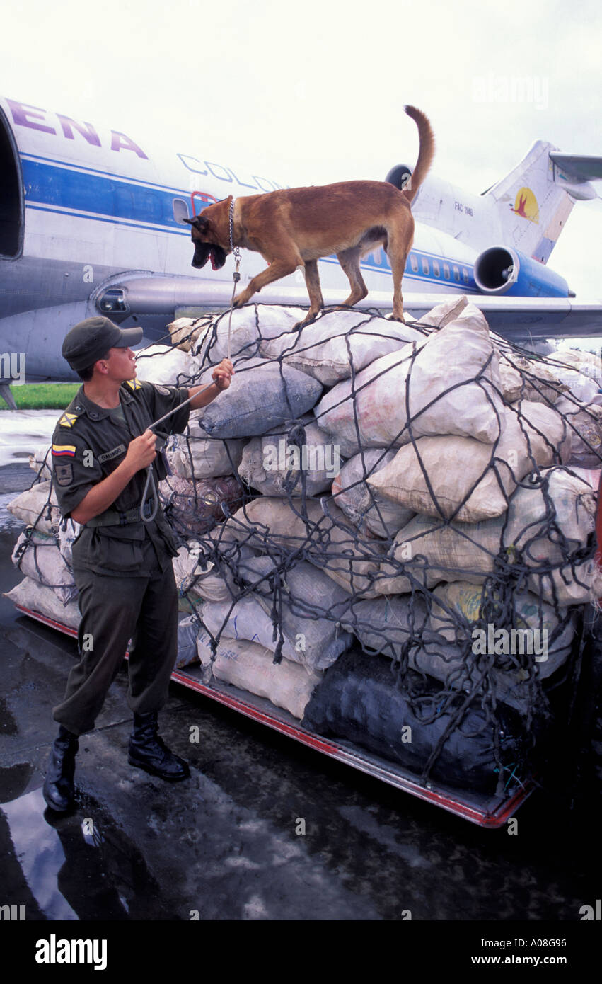 Security dogs working at Leticia airport Colombia South America Policia ...