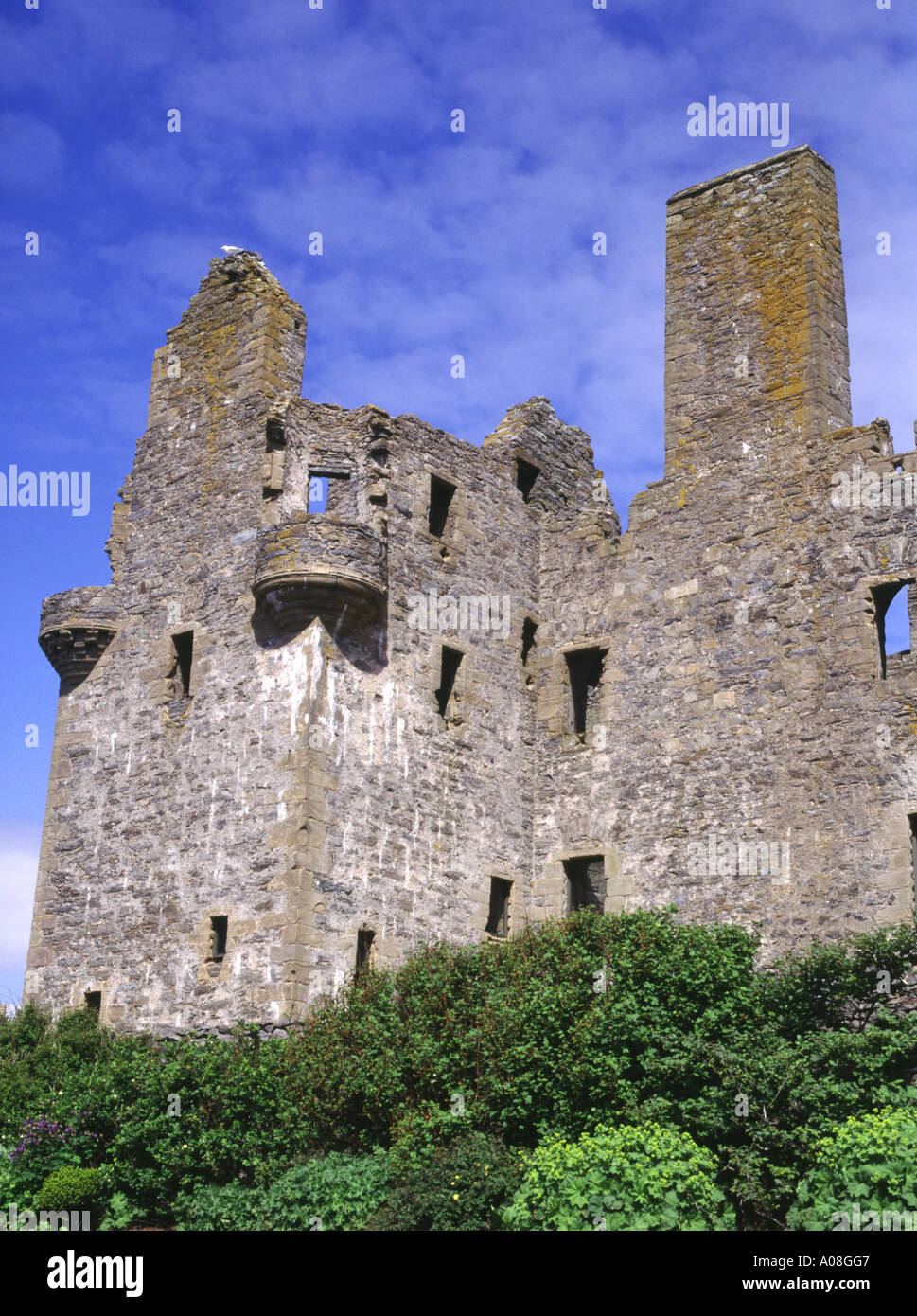 dh Scalloway Castle SCALLOWAY SHETLAND Castle ruins Stock Photo - Alamy