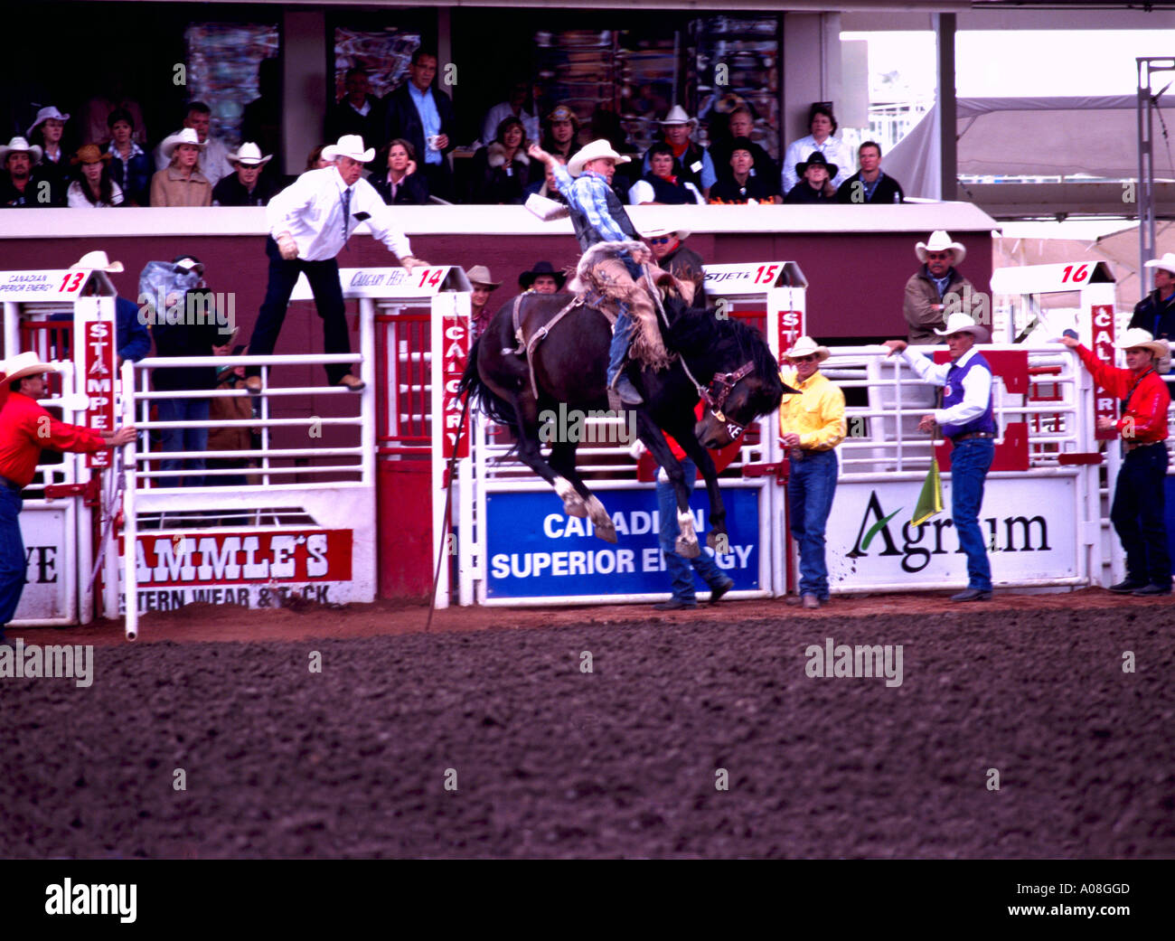 Bucking bronco ride stock hi-res stock photography and images - Alamy