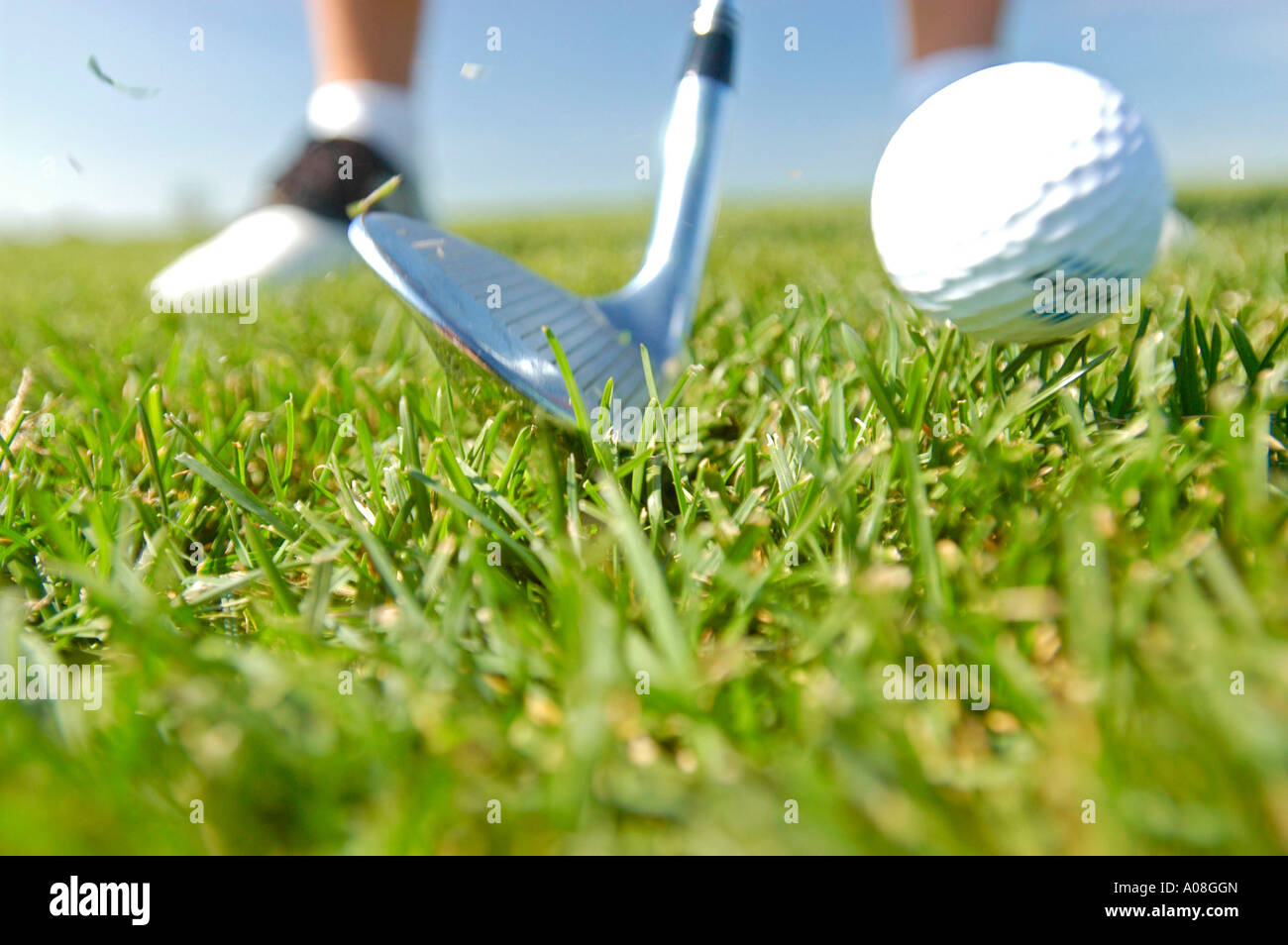Green golf court close hi-res stock photography and images - Alamy