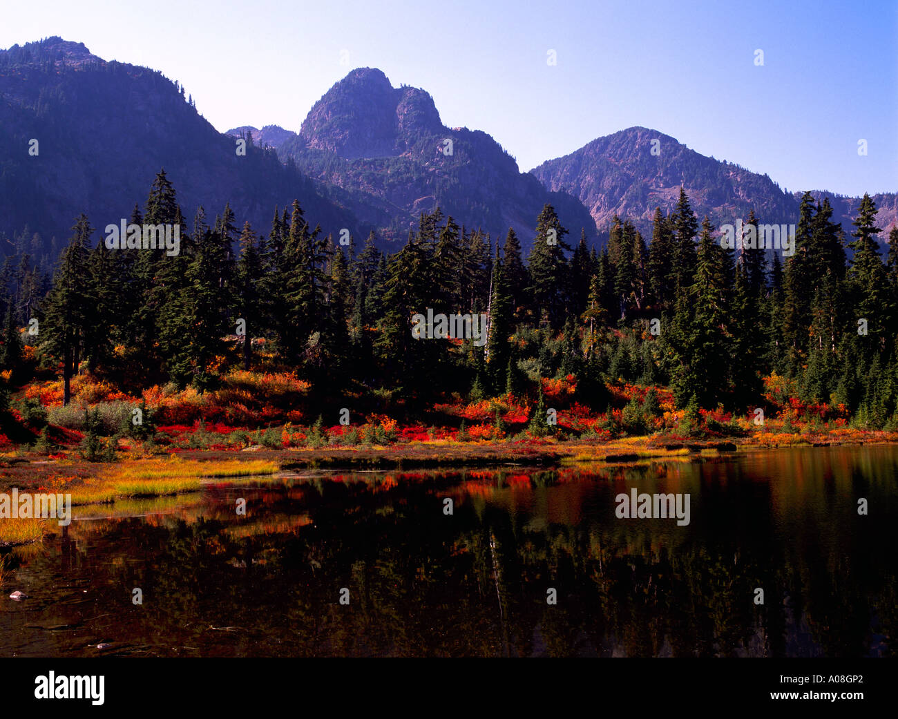 Usa picture hi-res stock photography and images - Alamy