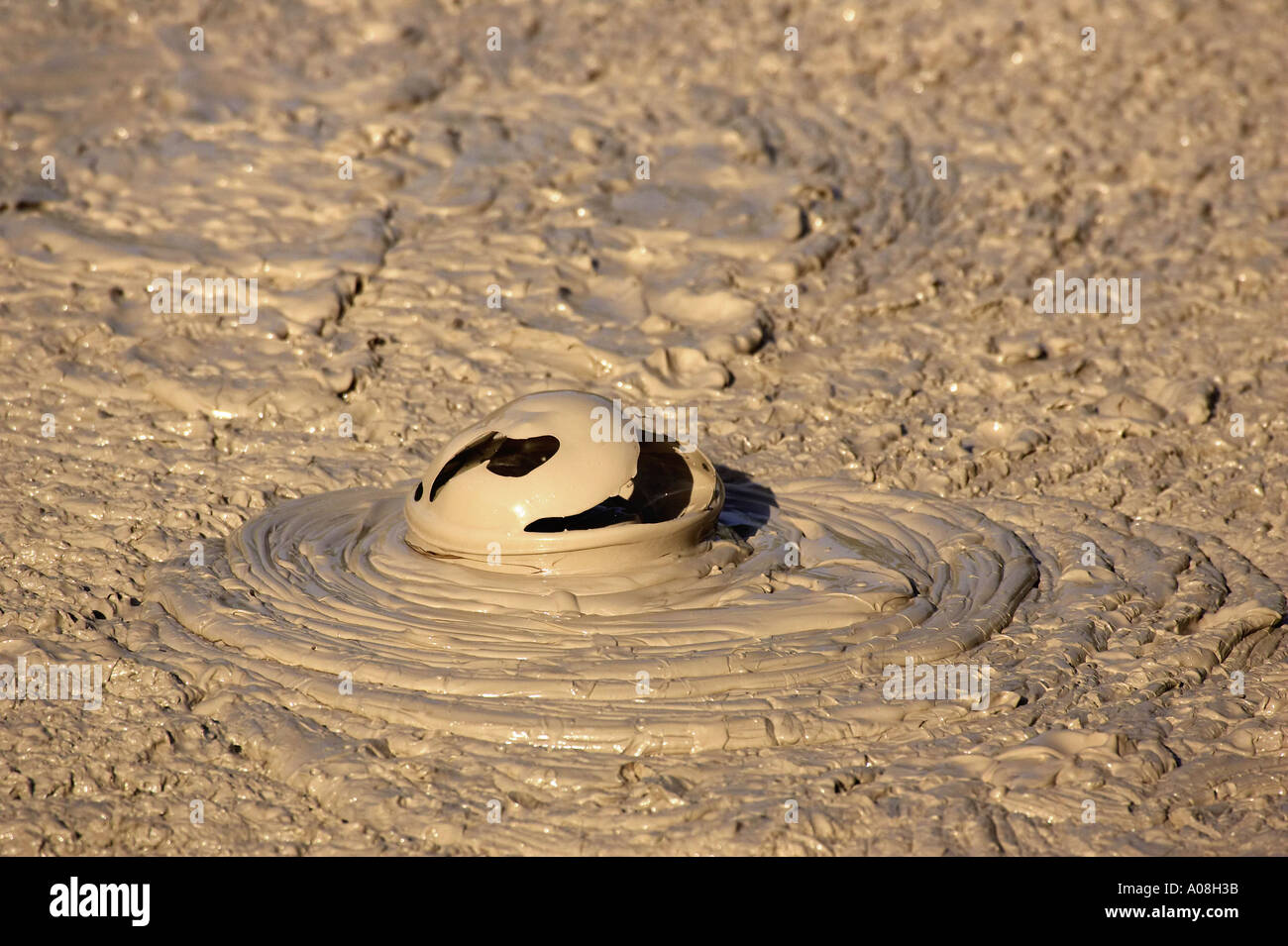 Boiling Mud in thermal area Rotorua New Zealand Stock Photo - Alamy