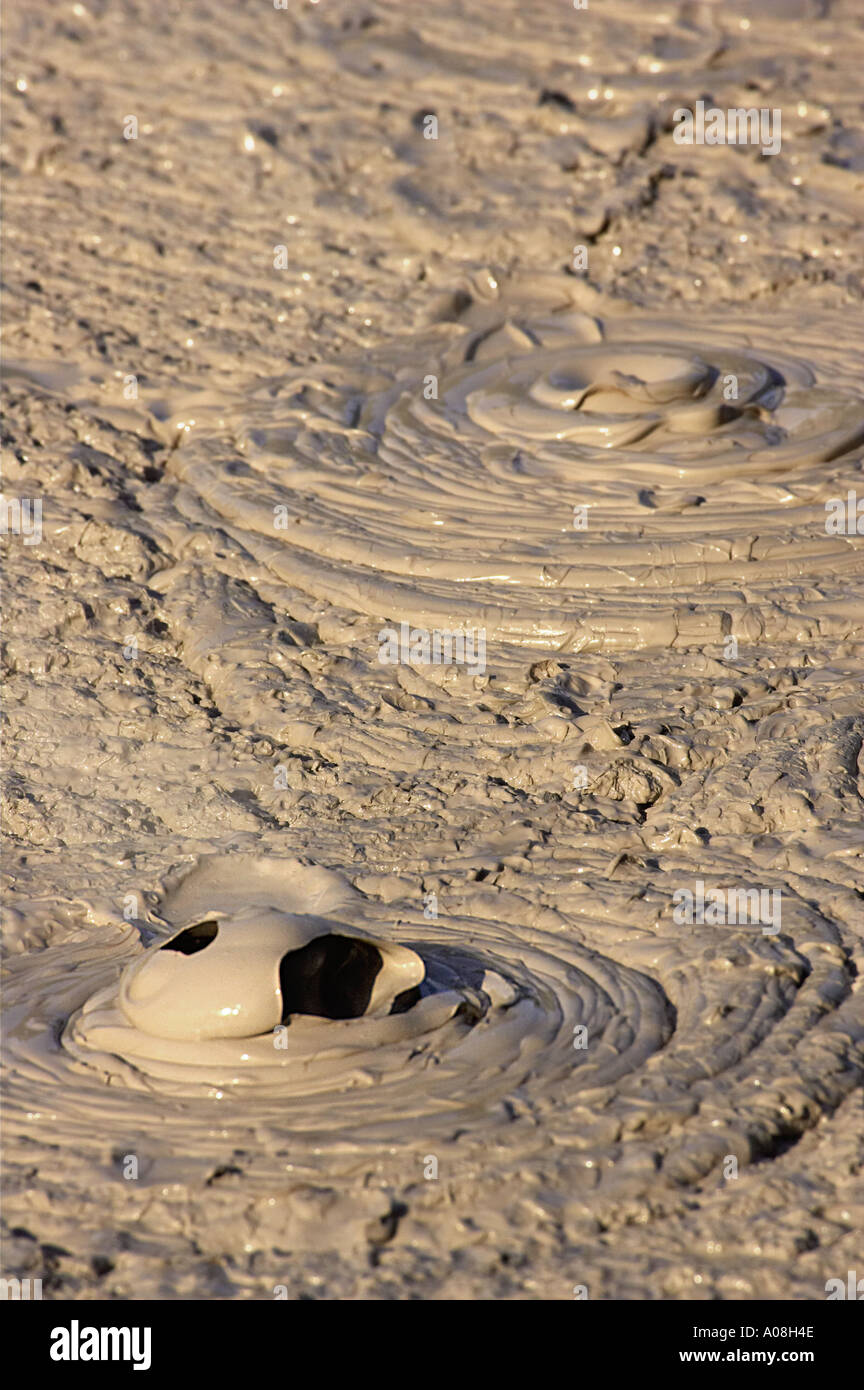Boiling Mud in thermal area Rotorua New Zealand Stock Photo - Alamy