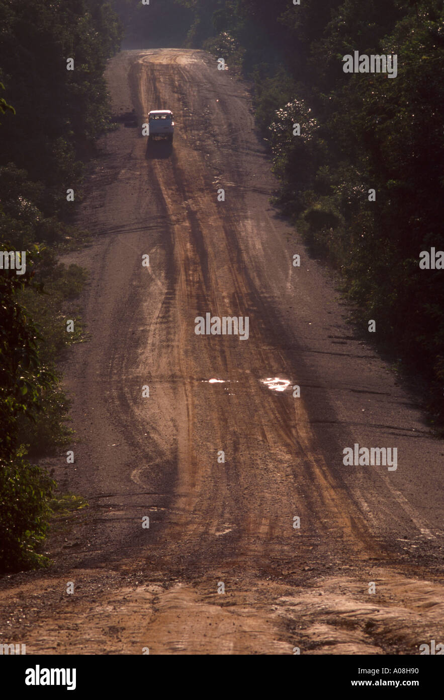 Road in Amazon rain forest Manacapuru road at Novo Airão district State ...