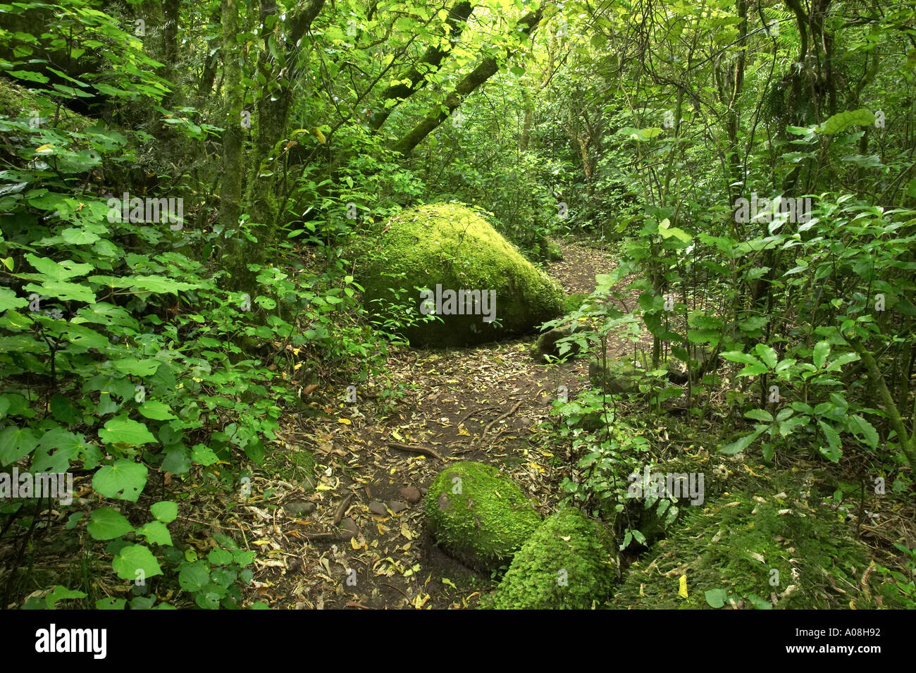 Kaimai ranges new zealand hi-res stock photography and images - Alamy