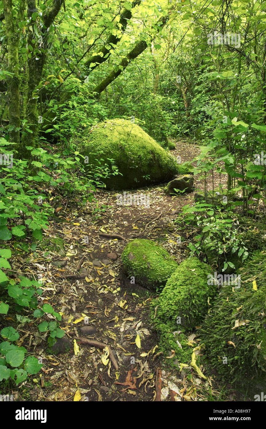 Kaimai ranges matamata hi-res stock photography and images - Alamy