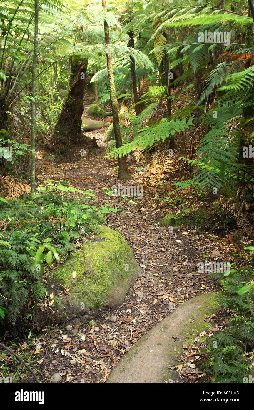 Kaimai ranges matamata hi-res stock photography and images - Alamy