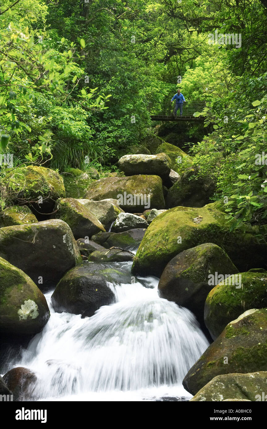 Kaimai ranges matamata hi-res stock photography and images - Alamy