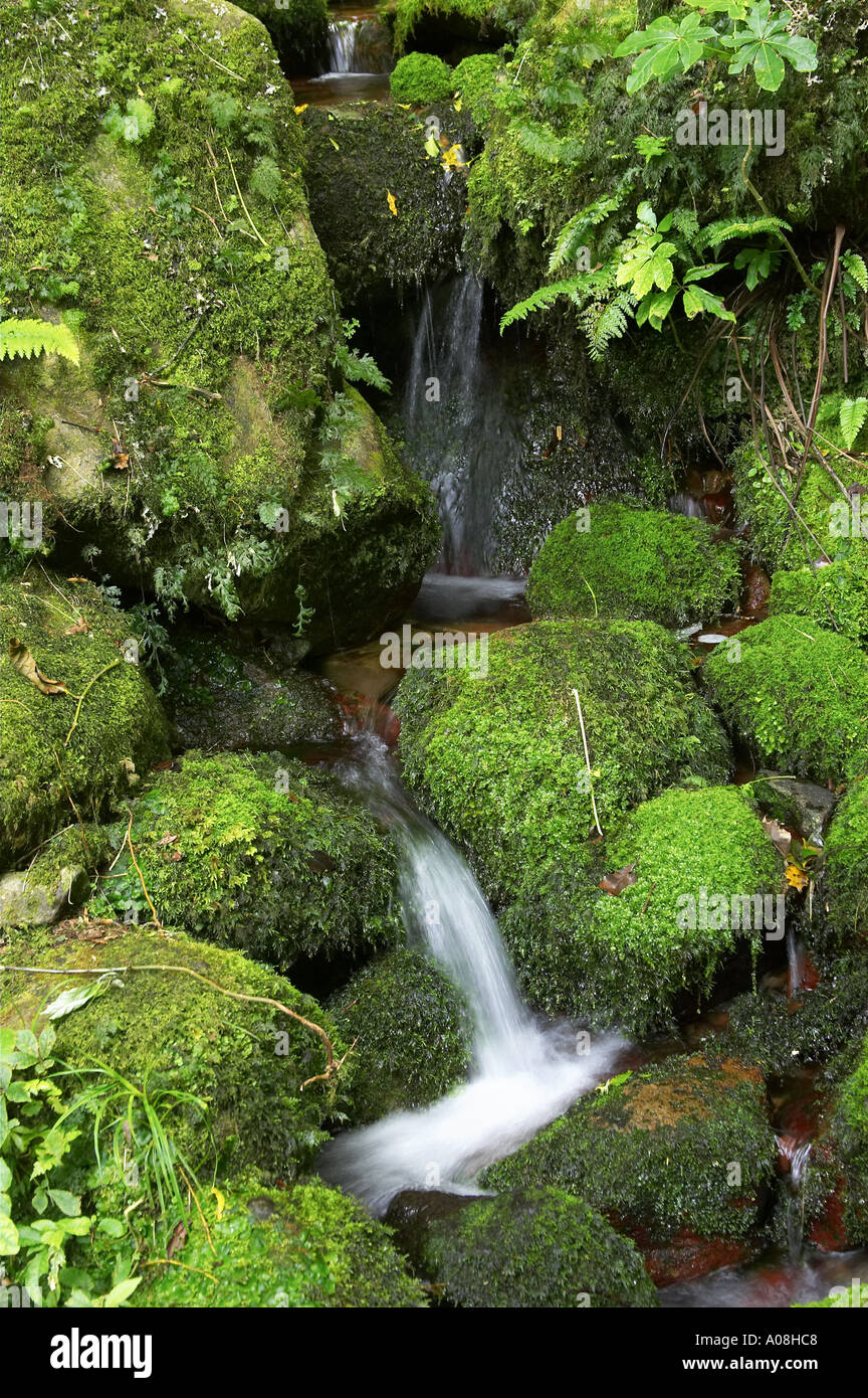 Kaimai ranges hi-res stock photography and images - Alamy