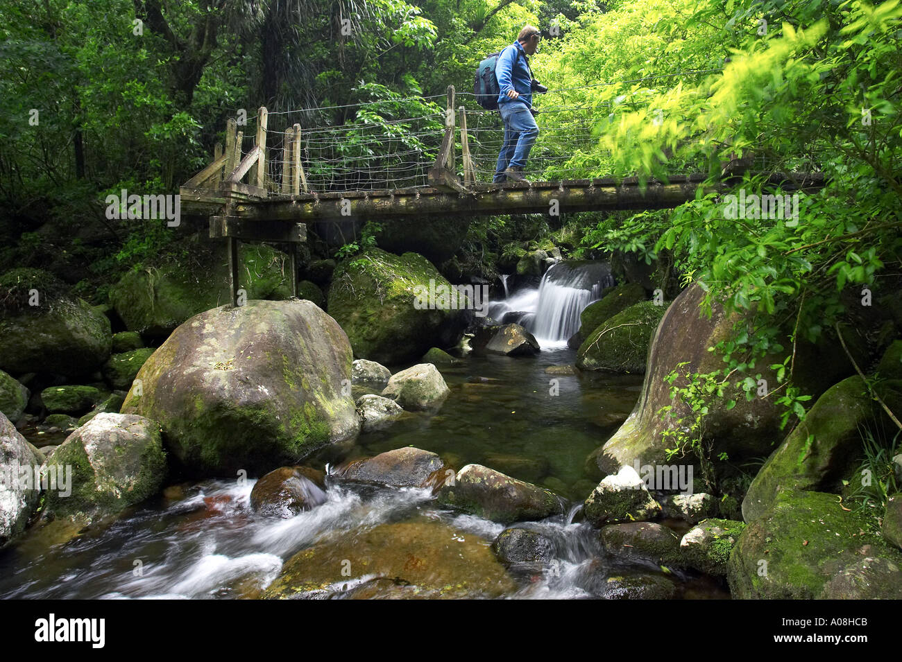 Wairere falls matamata hi-res stock photography and images - Alamy