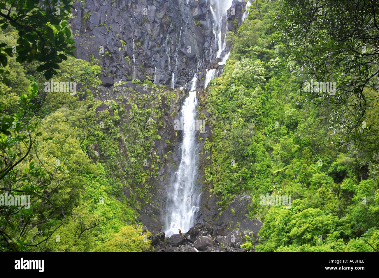 Kaimai ranges matamata hi-res stock photography and images - Alamy