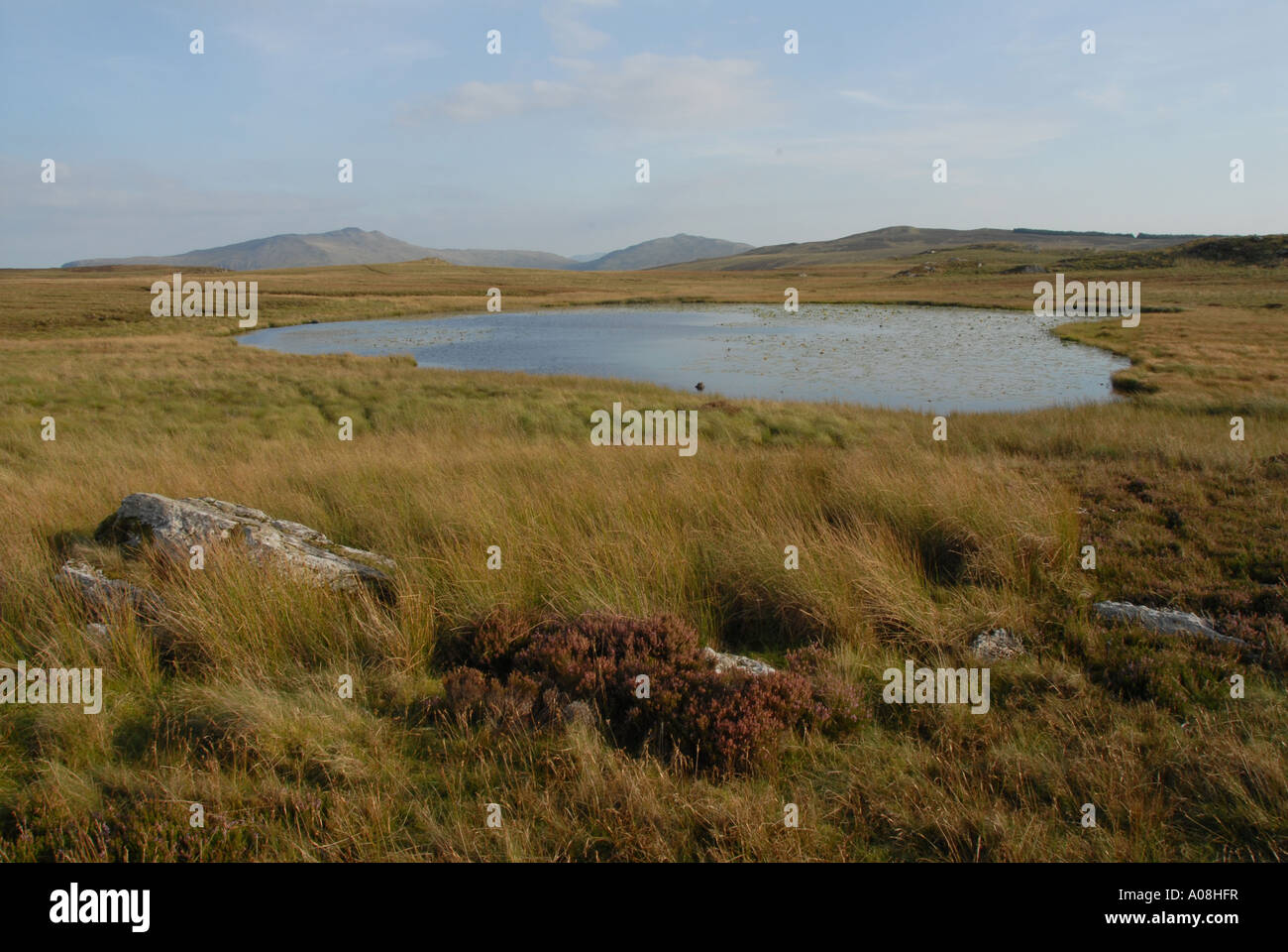 Mignient hi-res stock photography and images - Alamy
