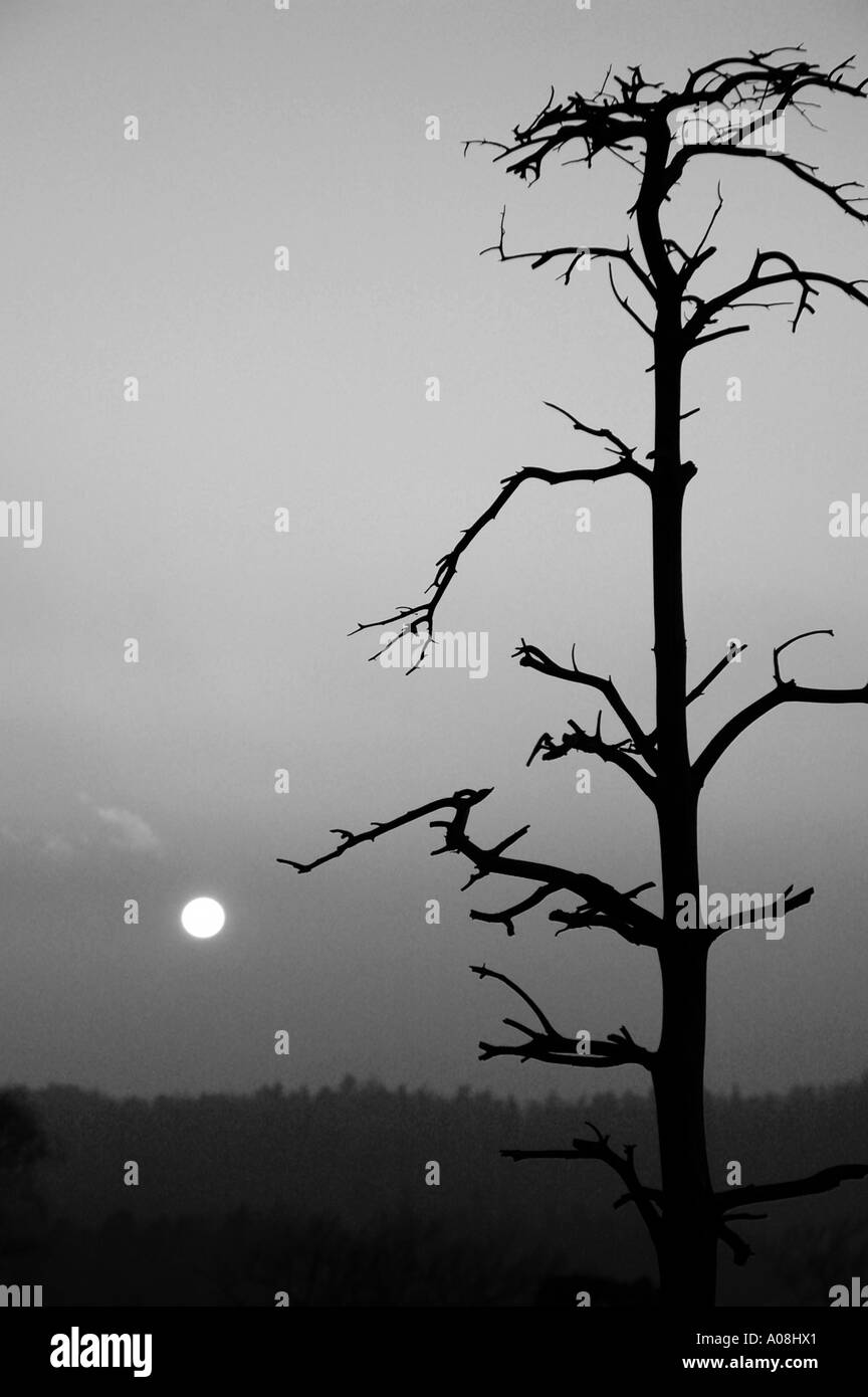 Rolling landscape sunset Black and White Stock Photos & Images - Alamy