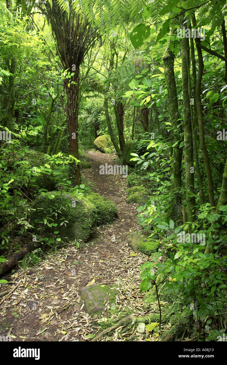 Kaimai ranges matamata hi-res stock photography and images - Alamy