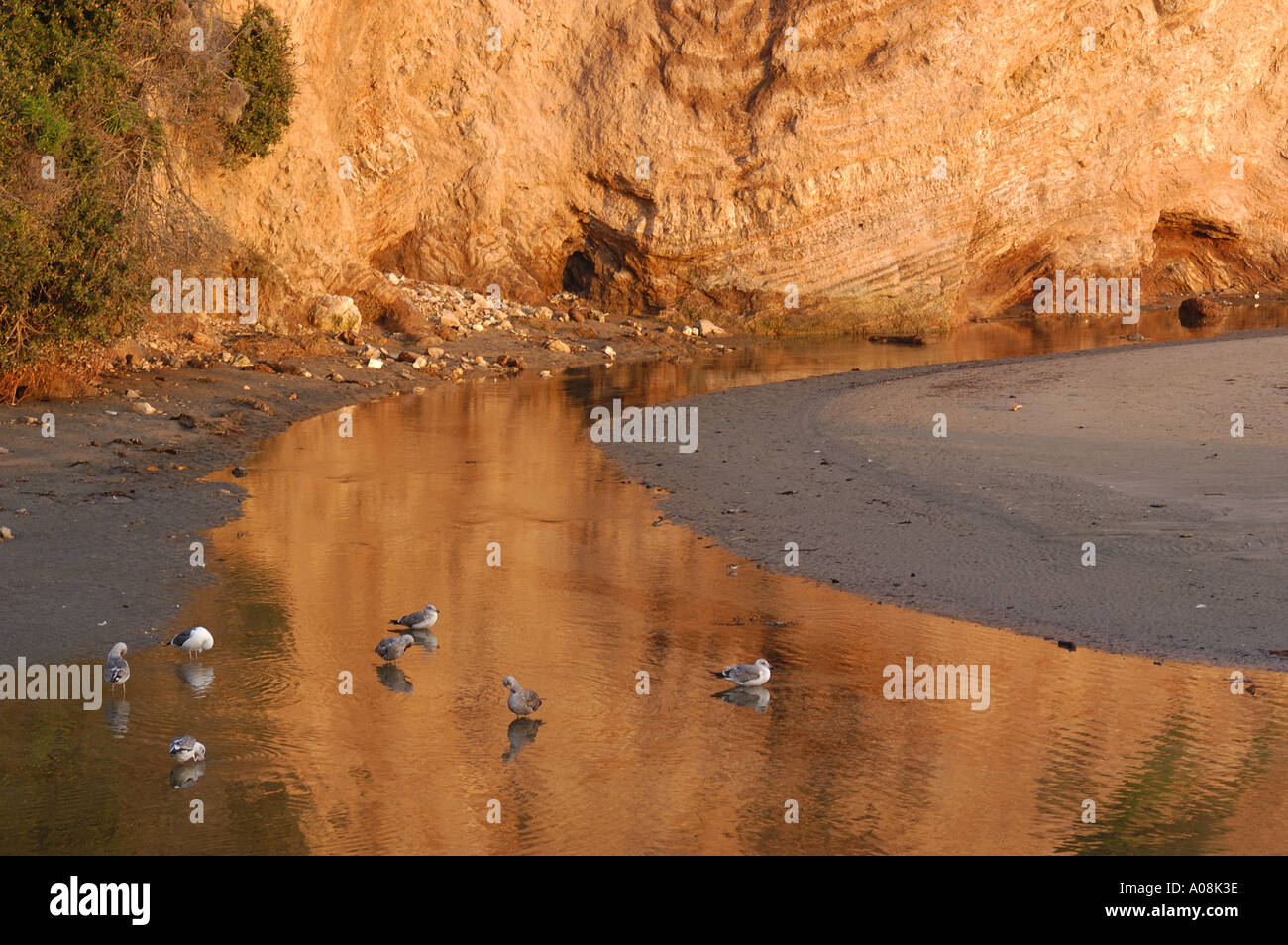 Hendrys beach hi-res stock photography and images - Alamy