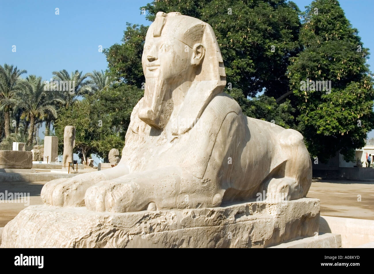 The Alabaster Sphinx, in the ruined ancient city of Memphis near the ...