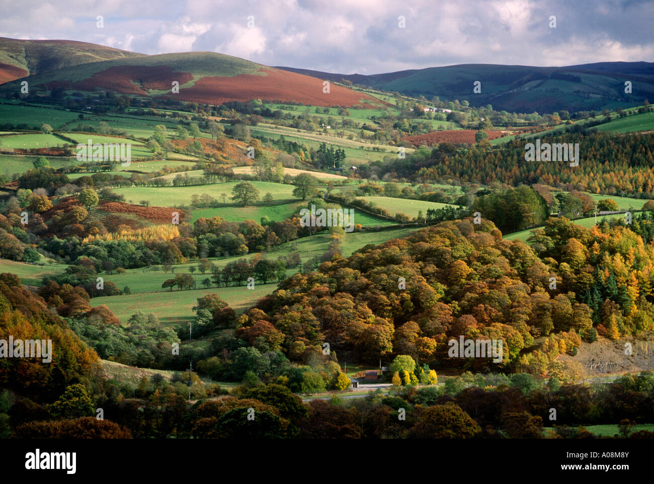 The Ithon Valley South of Llanbadarn Fywydd viewed from Glyndwrs Way ...