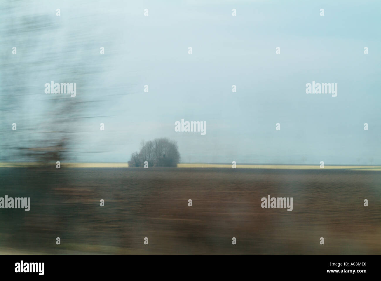 Trees seen from a moving car. Blurred Stock Photo - Alamy