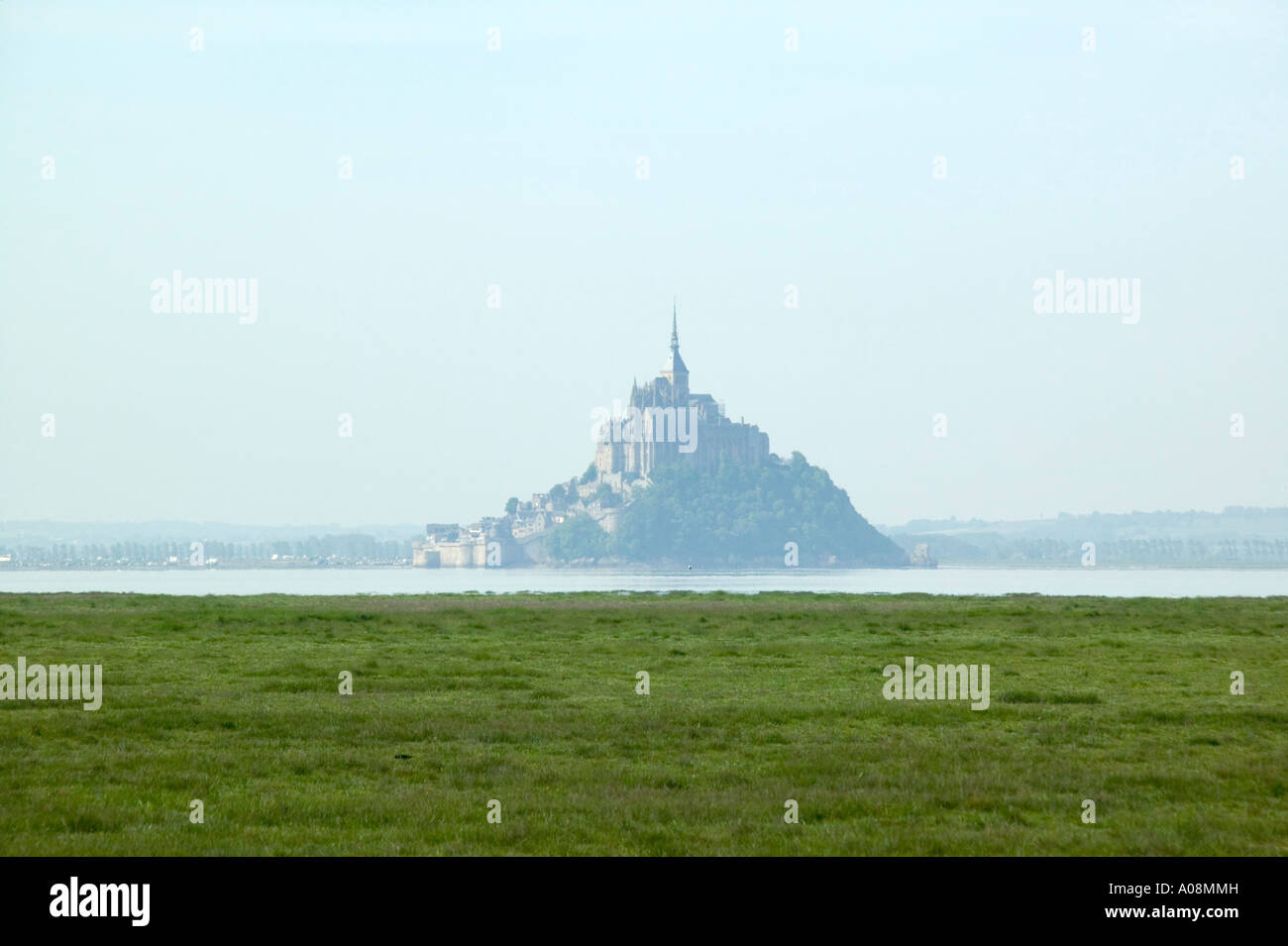 Genets france hi-res stock photography and images - Alamy