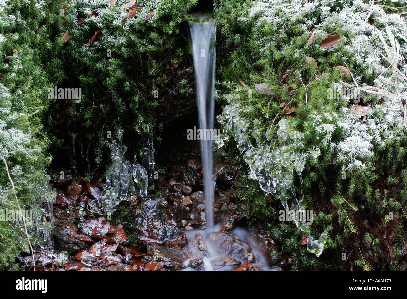 Gushing Spring High Resolution Stock Photography and Images - Alamy