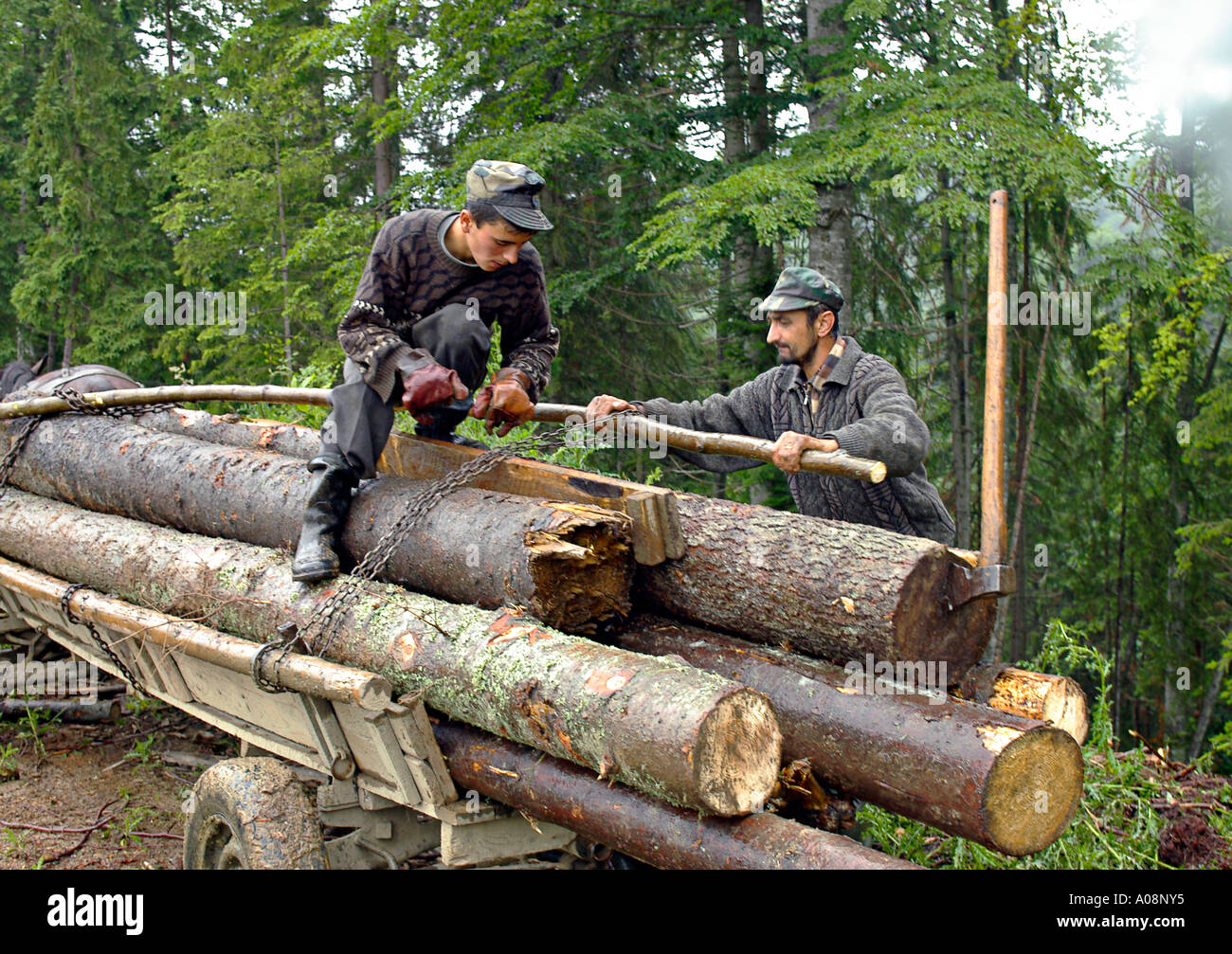 Old logging town hi-res stock photography and images - Alamy