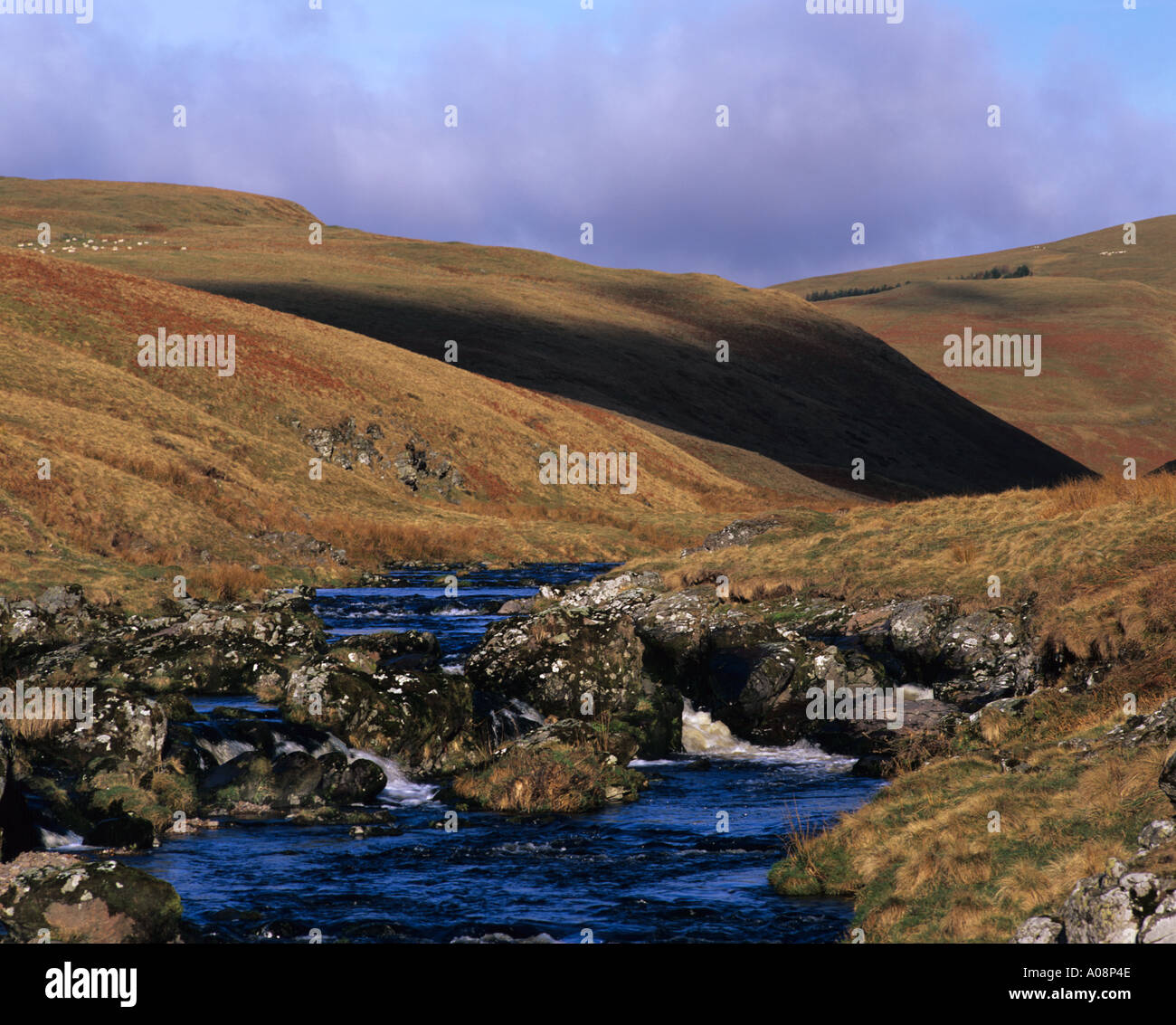 Upper borders hi-res stock photography and images - Alamy