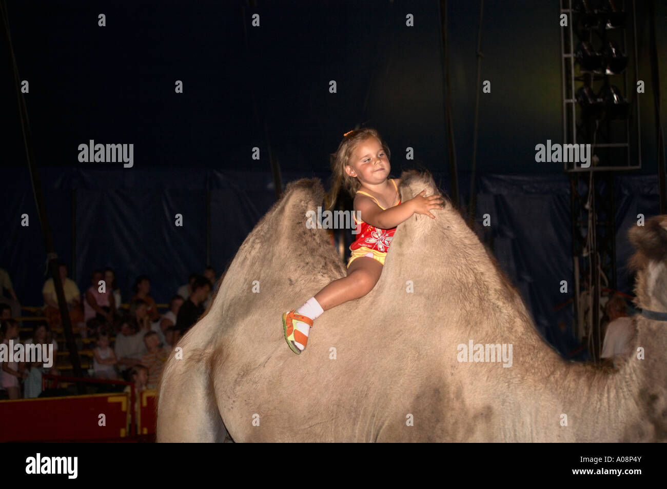 Camel girl circus hi-res stock photography and images - Alamy