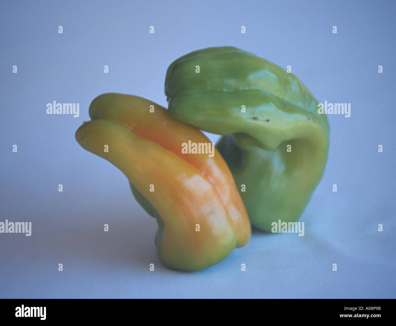 Dancing Peppers High Resolution Stock Photography and Images - Alamy