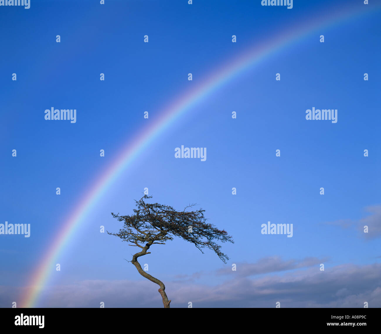 Perserverance trail hi-res stock photography and images - Alamy