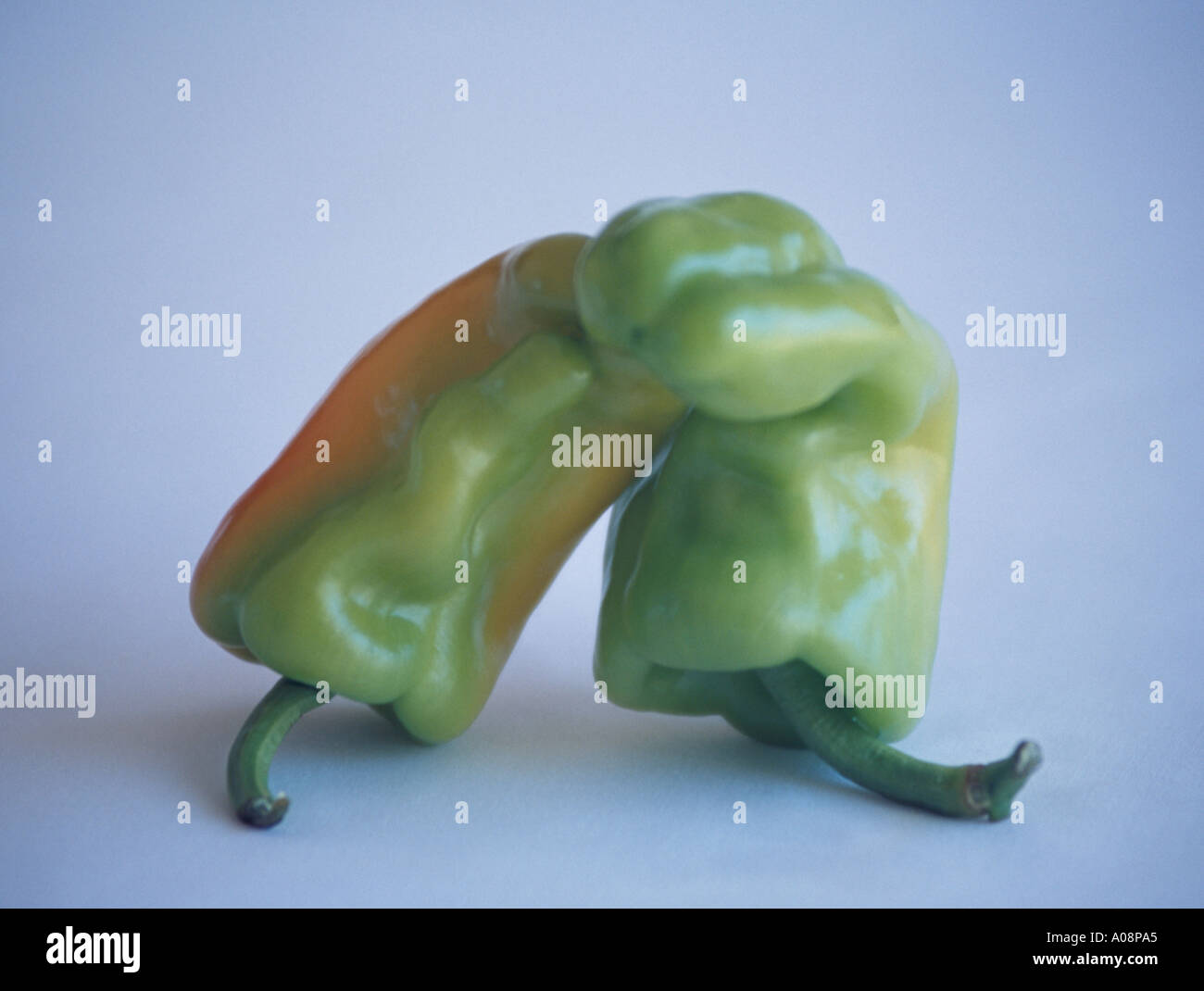 Dancing Peppers High Resolution Stock Photography and Images - Alamy