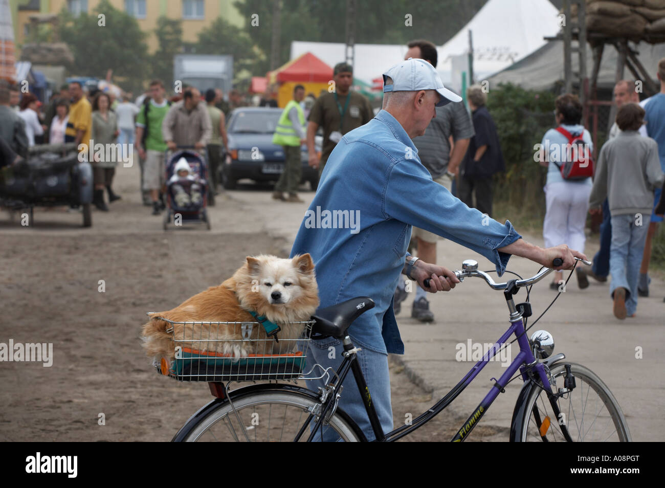 Man pushing his bicycle with his pet dog in a basket on the back of the ...