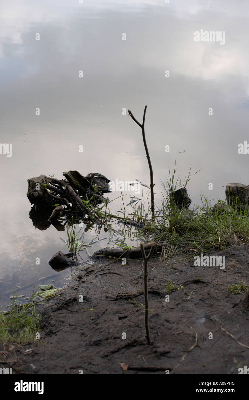 Rod in rest hi-res stock photography and images - Alamy