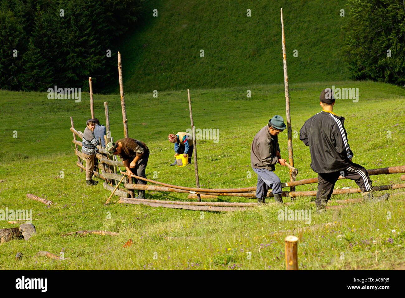 moving the sheepfold Stock Photo - Alamy