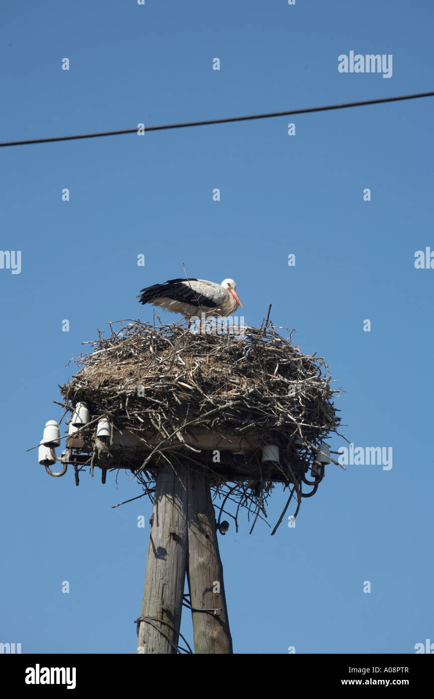 Adaptable cable hi-res stock photography and images - Alamy