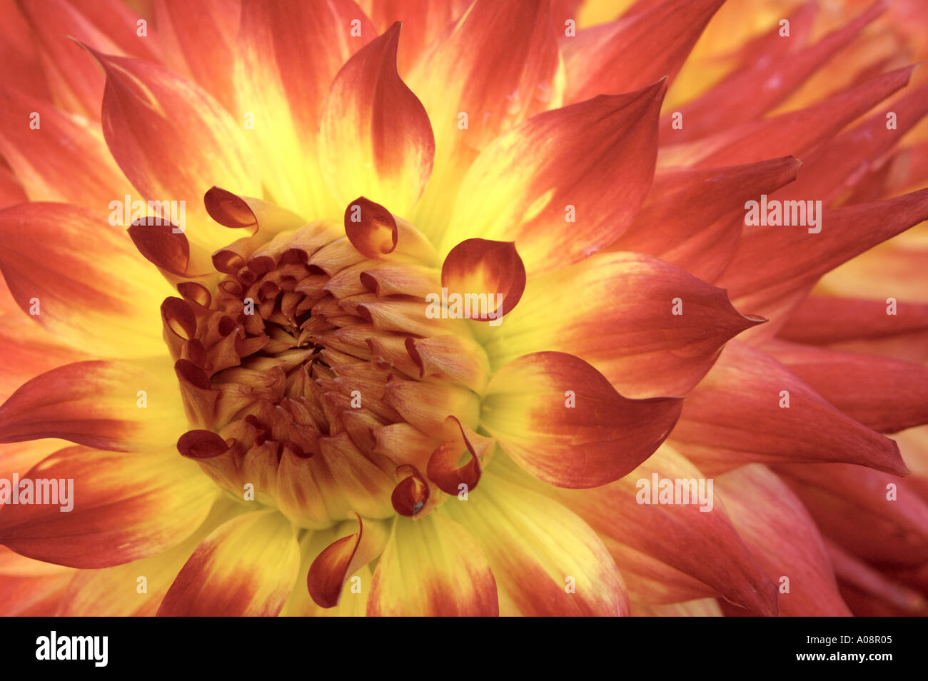 Kenora sunset hi-res stock photography and images - Alamy