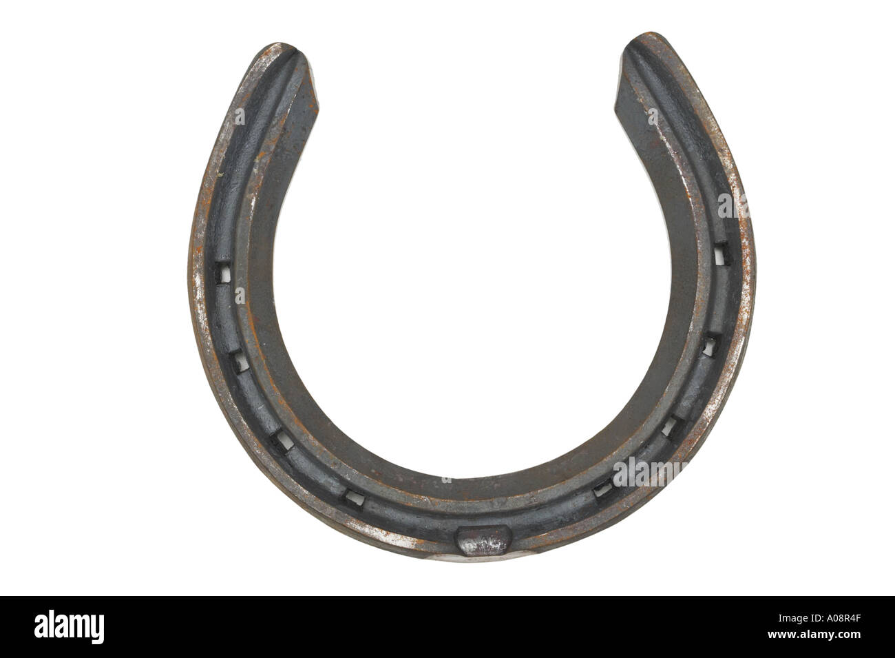 Real Horseshoe