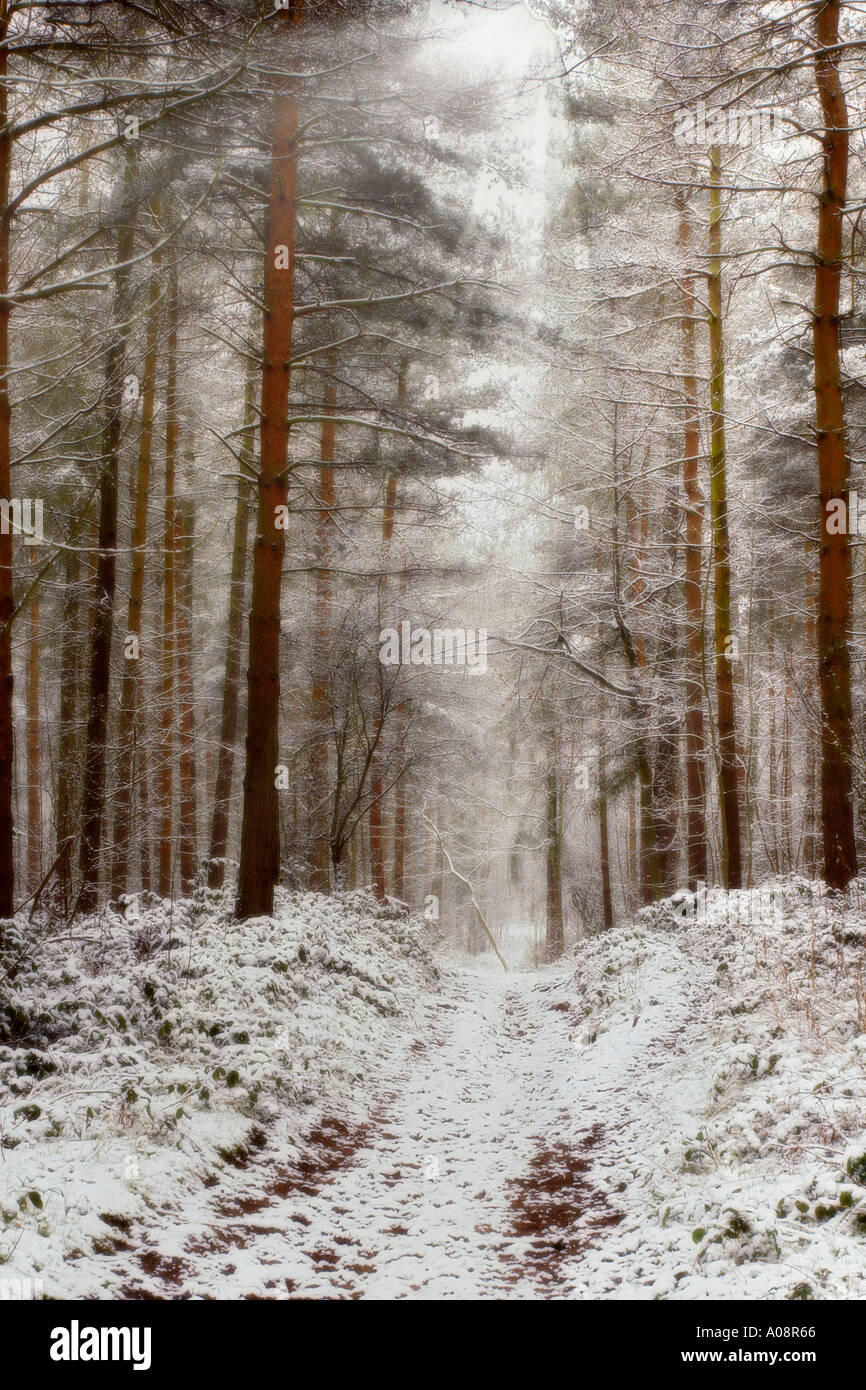 Kinver snow hi-res stock photography and images - Alamy