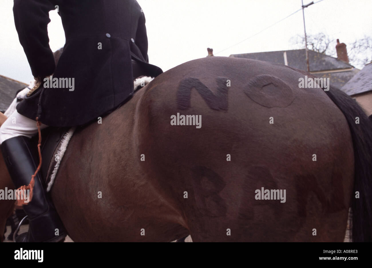 Fox hunting huntsman hi-res stock photography and images - Alamy