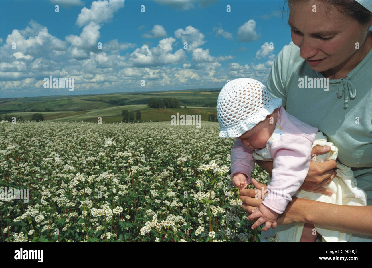 Mother holding up to 1 year old baby studying a buckwheat flower. Altai ...