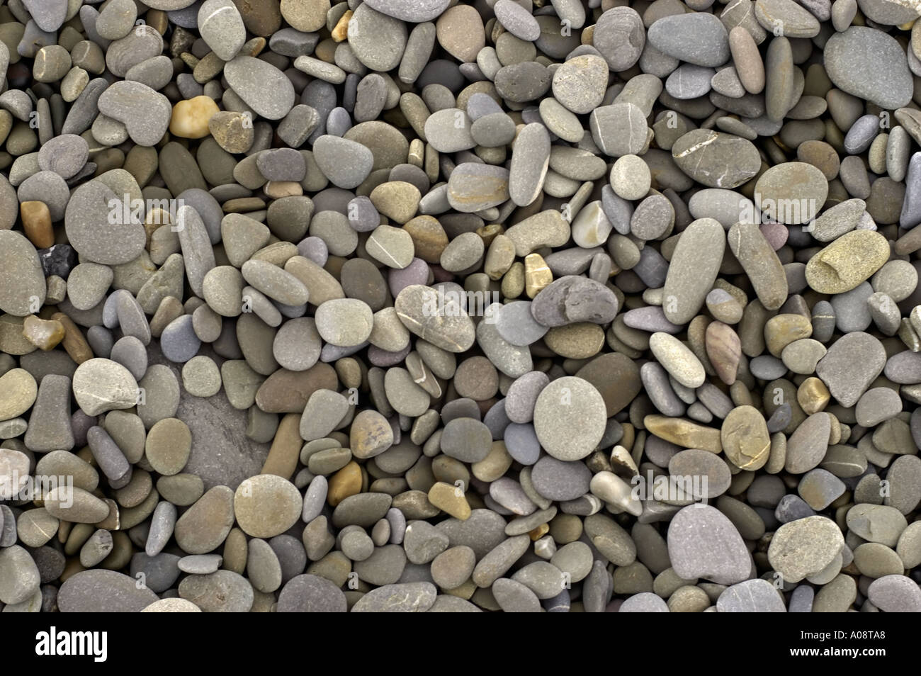 pebbles washed up on the beach placed there to stop erosion Stock Photo ...