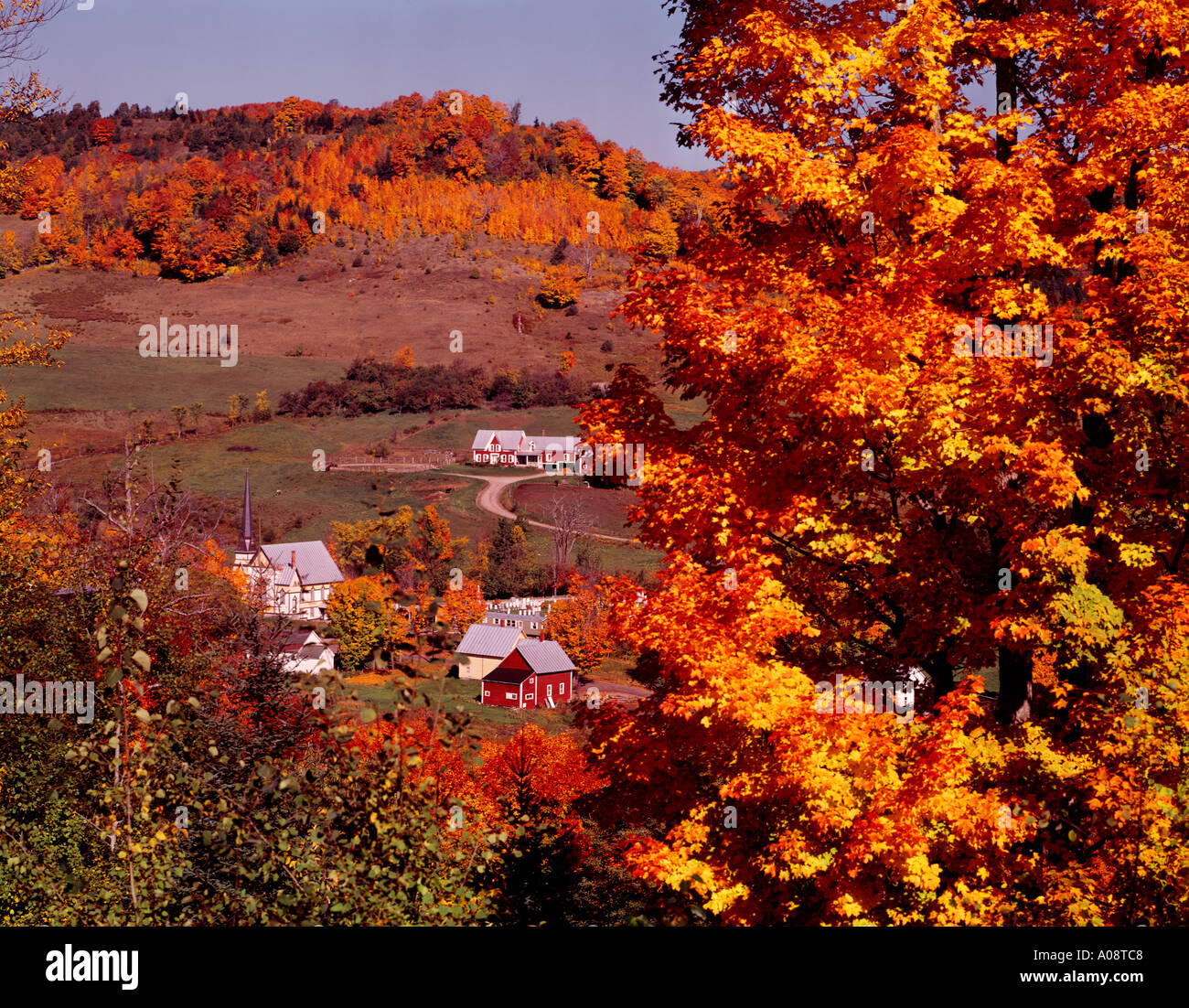 Orange red colorful trees forest and a farm house hi-res stock ...