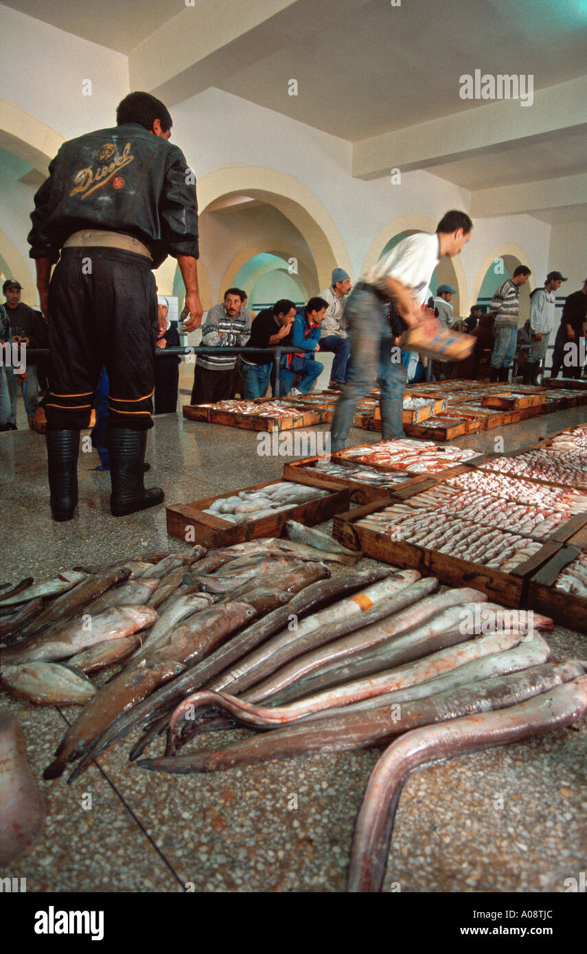 Fish market in the harbour of Essaouira Morocco Stock Photo - Alamy