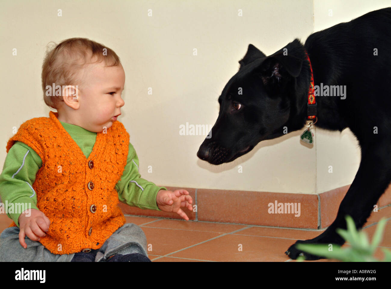 Baby dog fear hi-res stock photography and images - Alamy