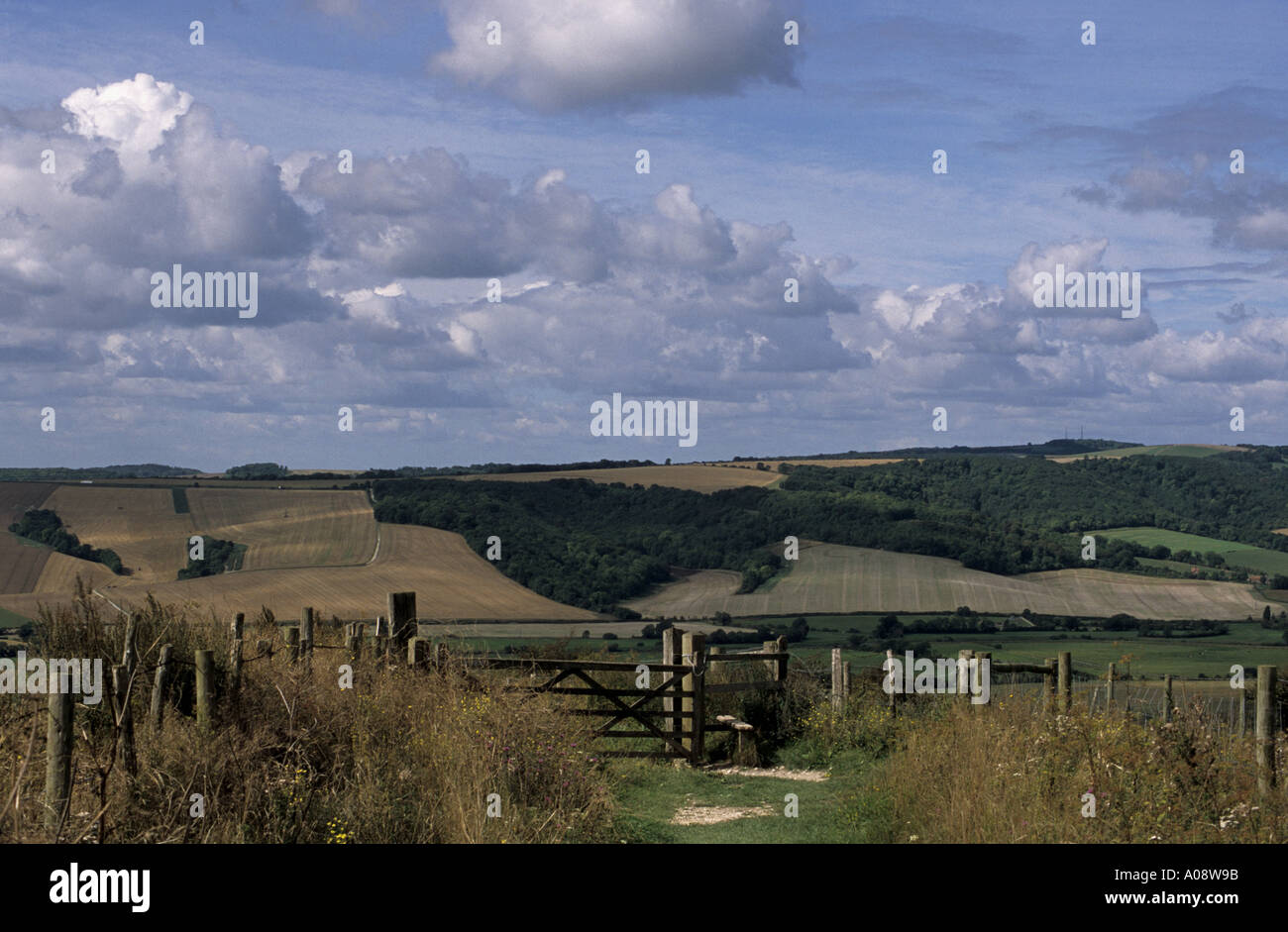 The South Downs Way above the Arun valley with Bignor Hill in the ...