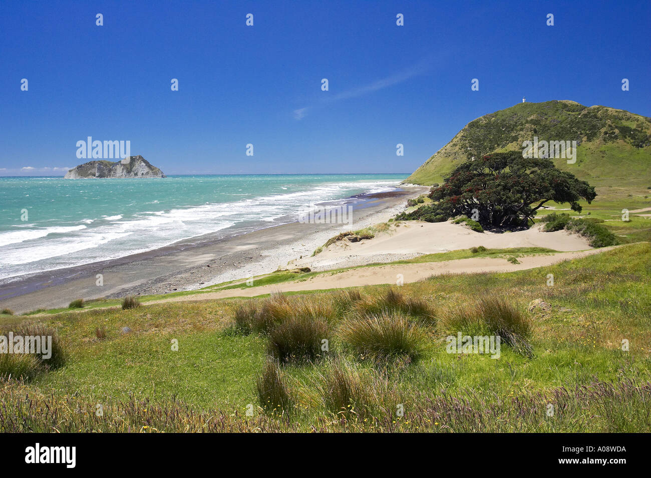 Coast and East Island Whangaokena East Cape Eastland New Zealand Stock ...