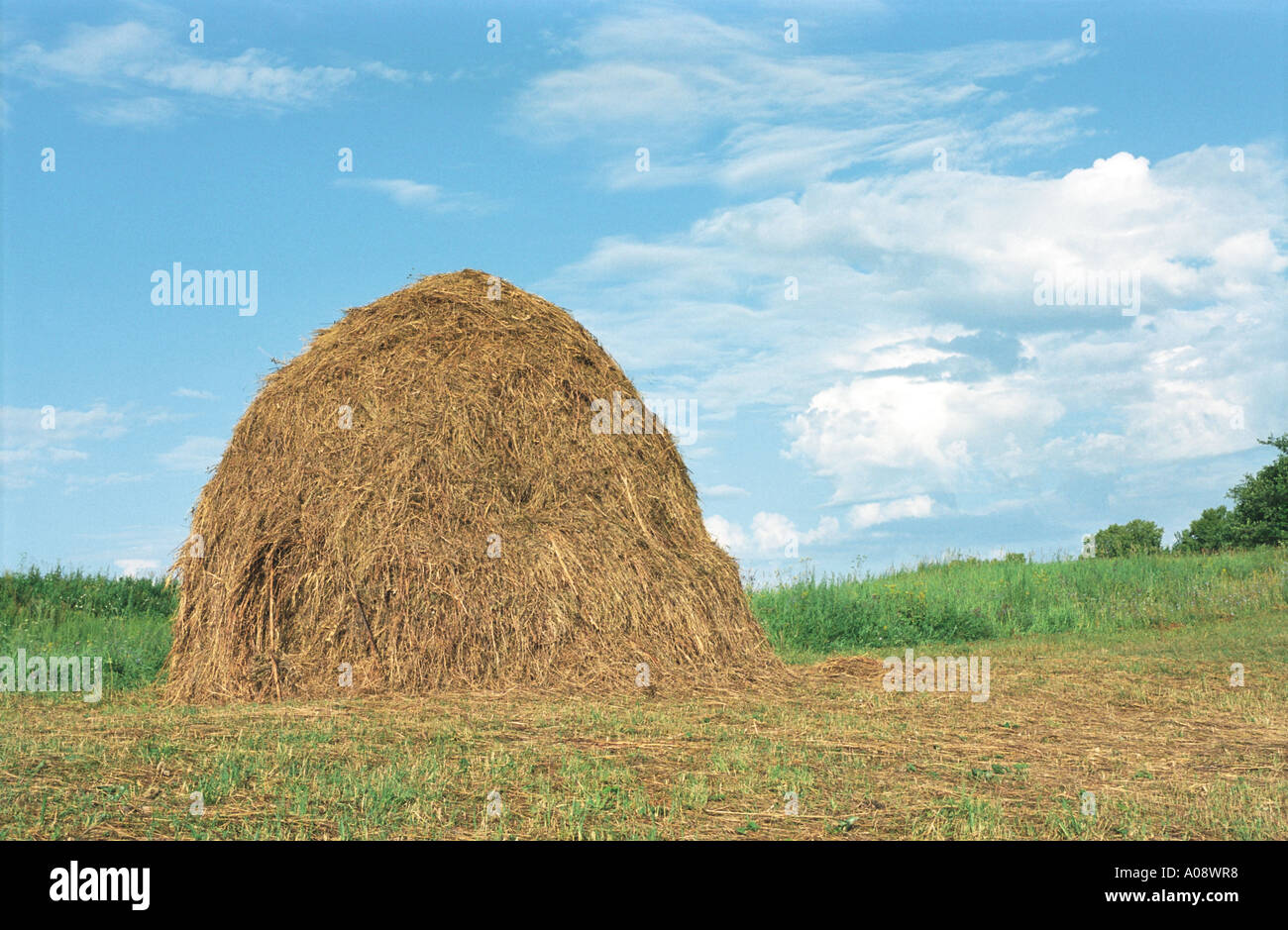 A haystack in a meadow. Altai. Siberia. Russia Stock Photo - Alamy