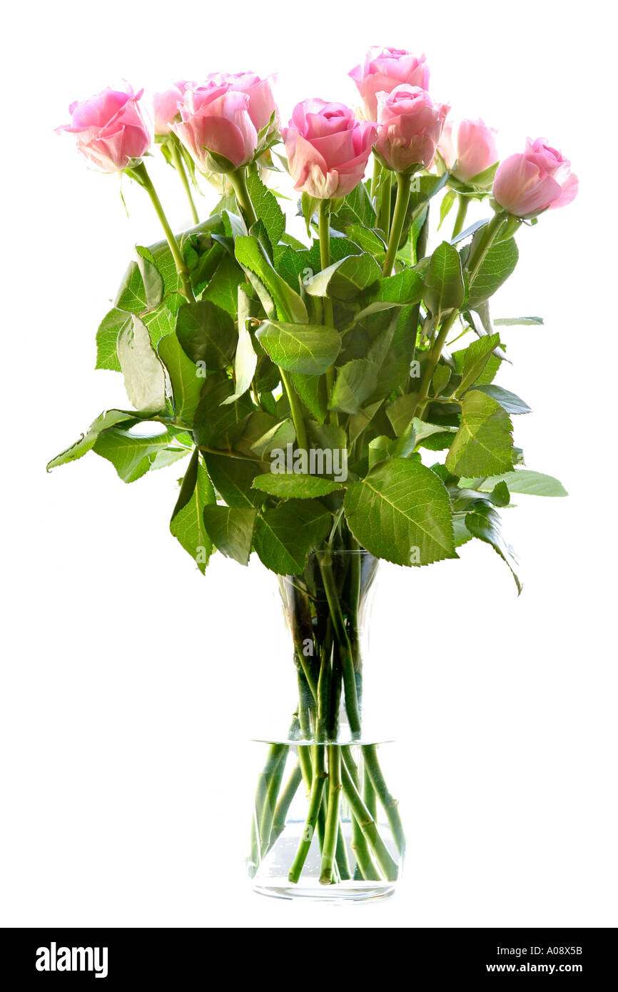 Bouquet of Roses in Water Stock Photo - Alamy